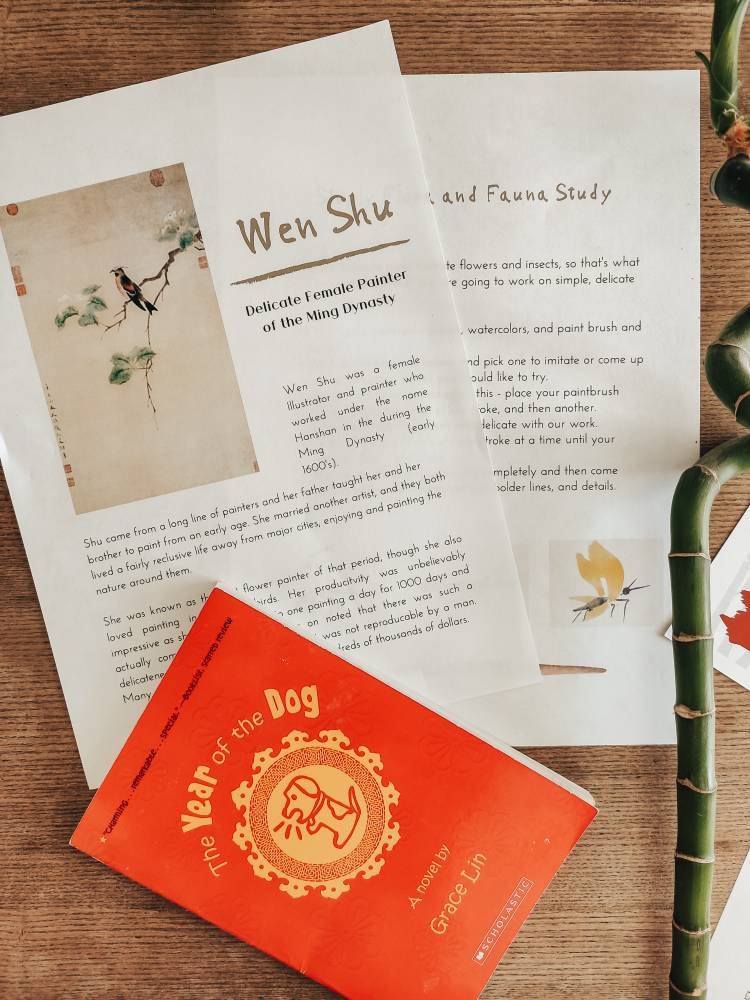 China Study Unit Digital Bundle printable culture | Etsy