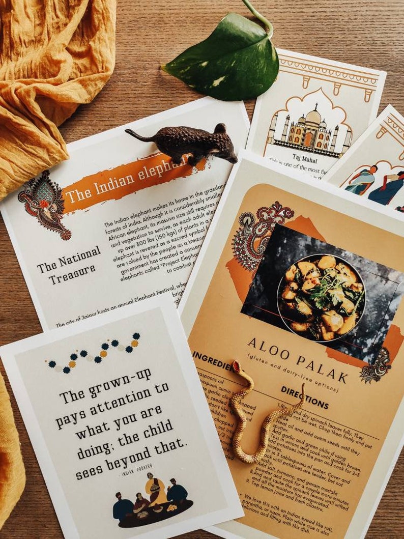 India Study Unit Digital Download Country Study Charlotte - Etsy