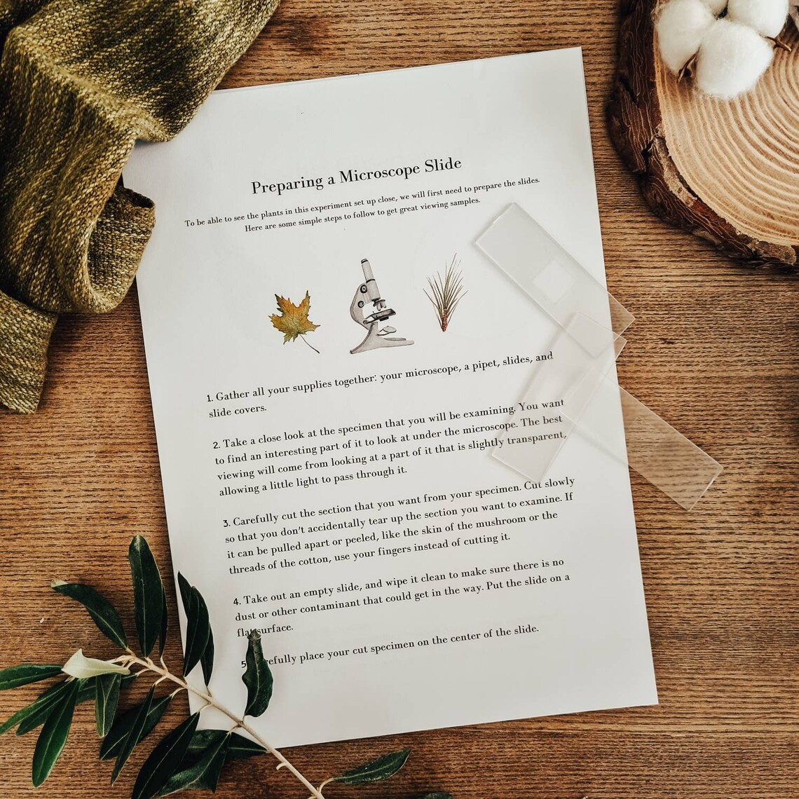 Printable Microscope Guide Digital Download Science - Etsy