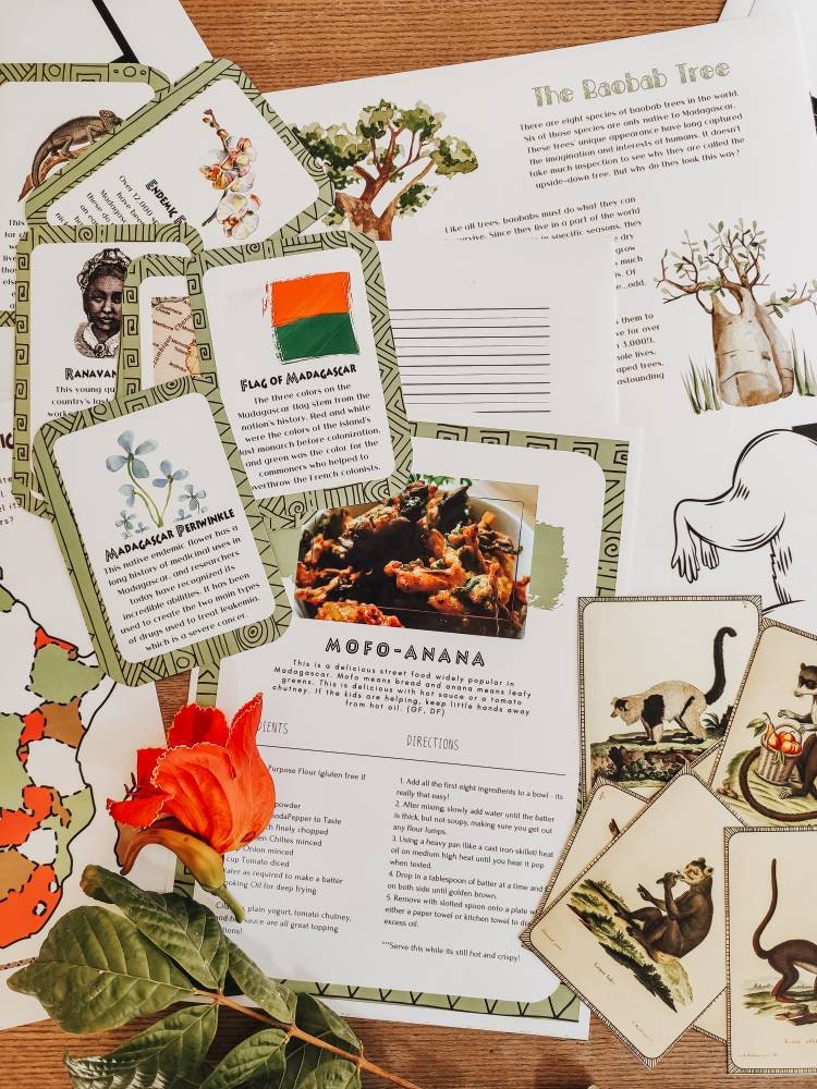 Madagascar Country Study Unit | Digital Download, Booklist, Homeschool ...