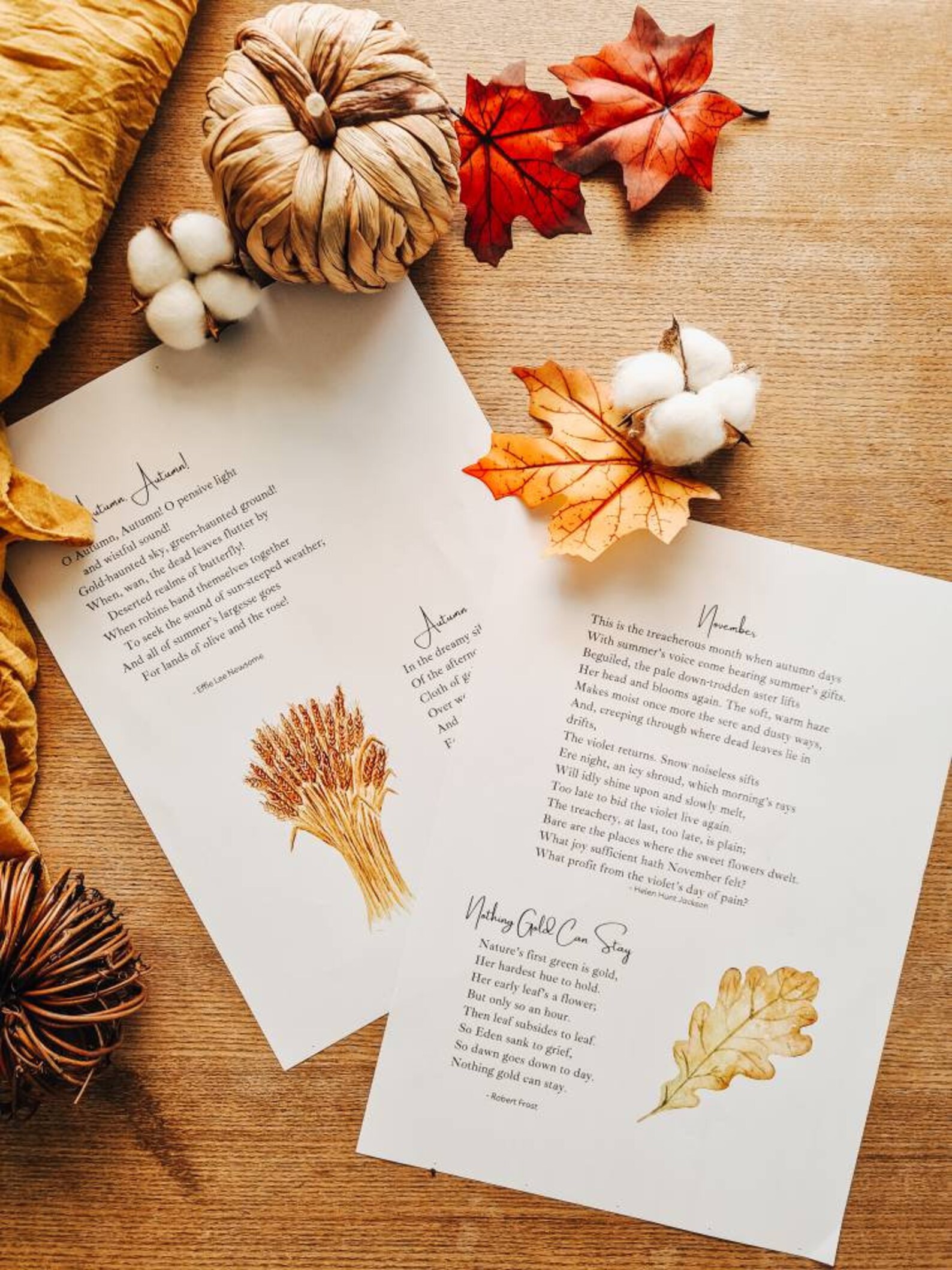 Into Autumn Fall Themed Bundle for Early Learners Digital | Etsy