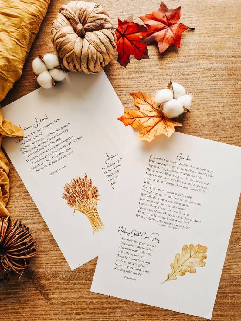 Into Autumn Fall Themed Bundle for Early Learners Digital - Etsy