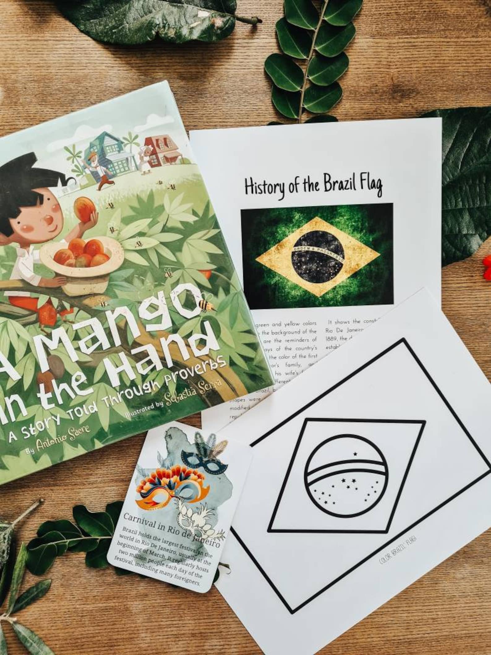 Brazil Study Unit Digital Bundle Charlotte Mason - Etsy