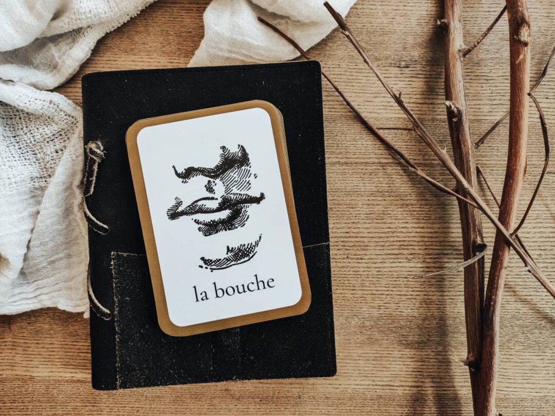 French Body Terms | Digital Download, Flashcards, Montessori, - Etsy