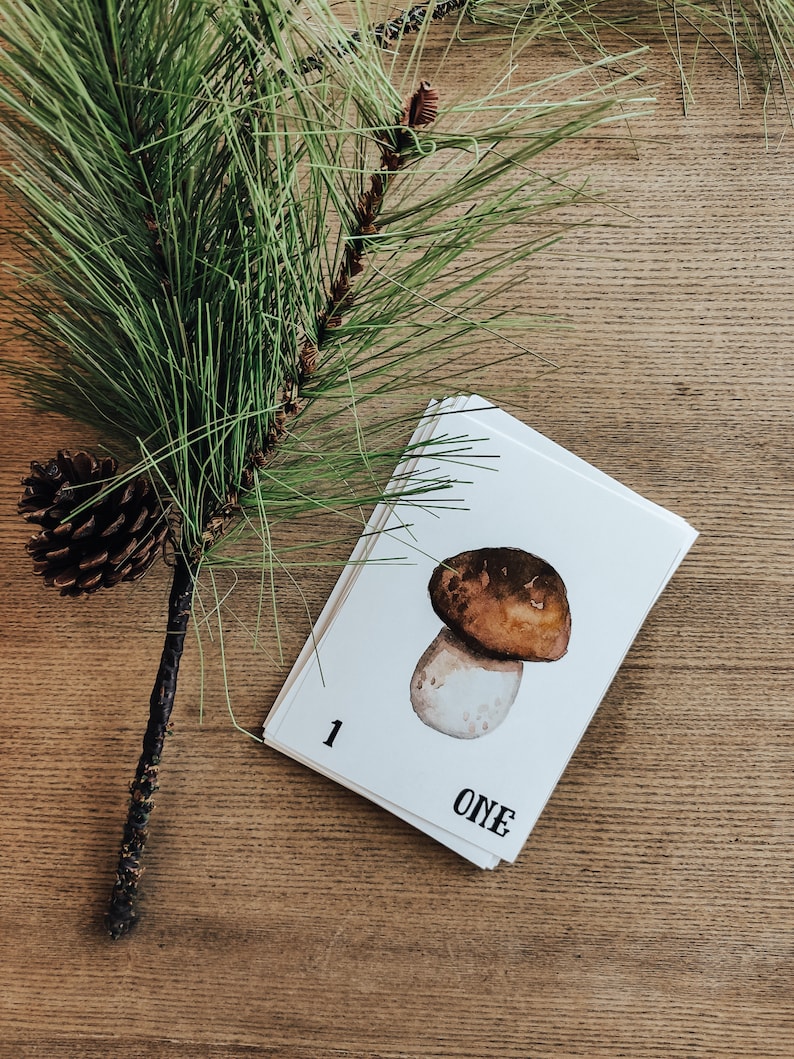 Forest Number Flashcards Digital Download Nature - Etsy