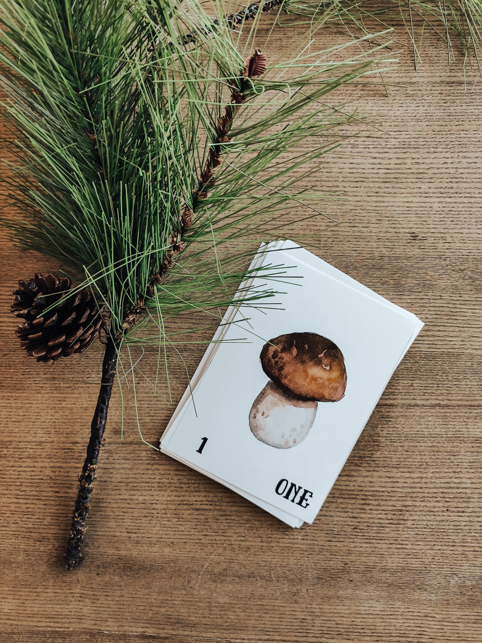 Forest Number Flashcards Digital Download Nature - Etsy