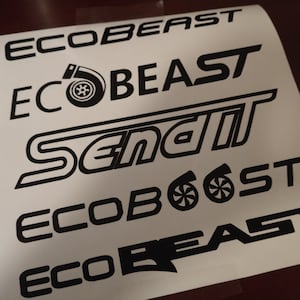Ecoboost Ecobeast Decals for Ford Vehicles - Etsy