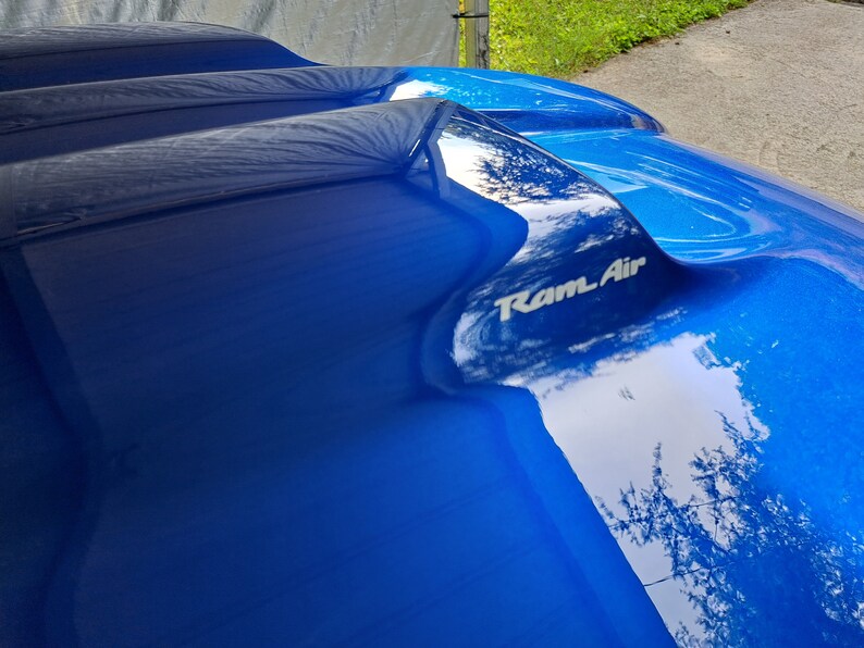 04-06 Pontiac GTO Hood Decals - Etsy