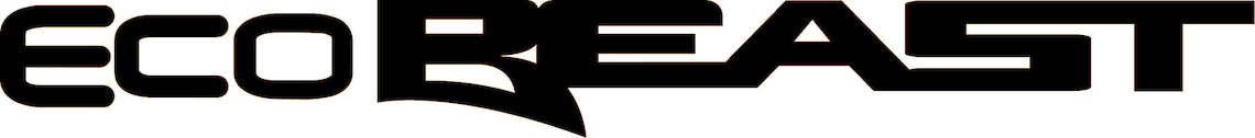 Ecoboost Ecobeast Decals for Ford Vehicles | Etsy