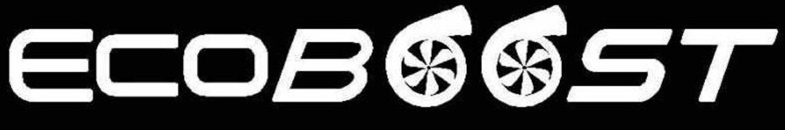 Ecoboost Ecobeast decals for ford vehicles | Etsy