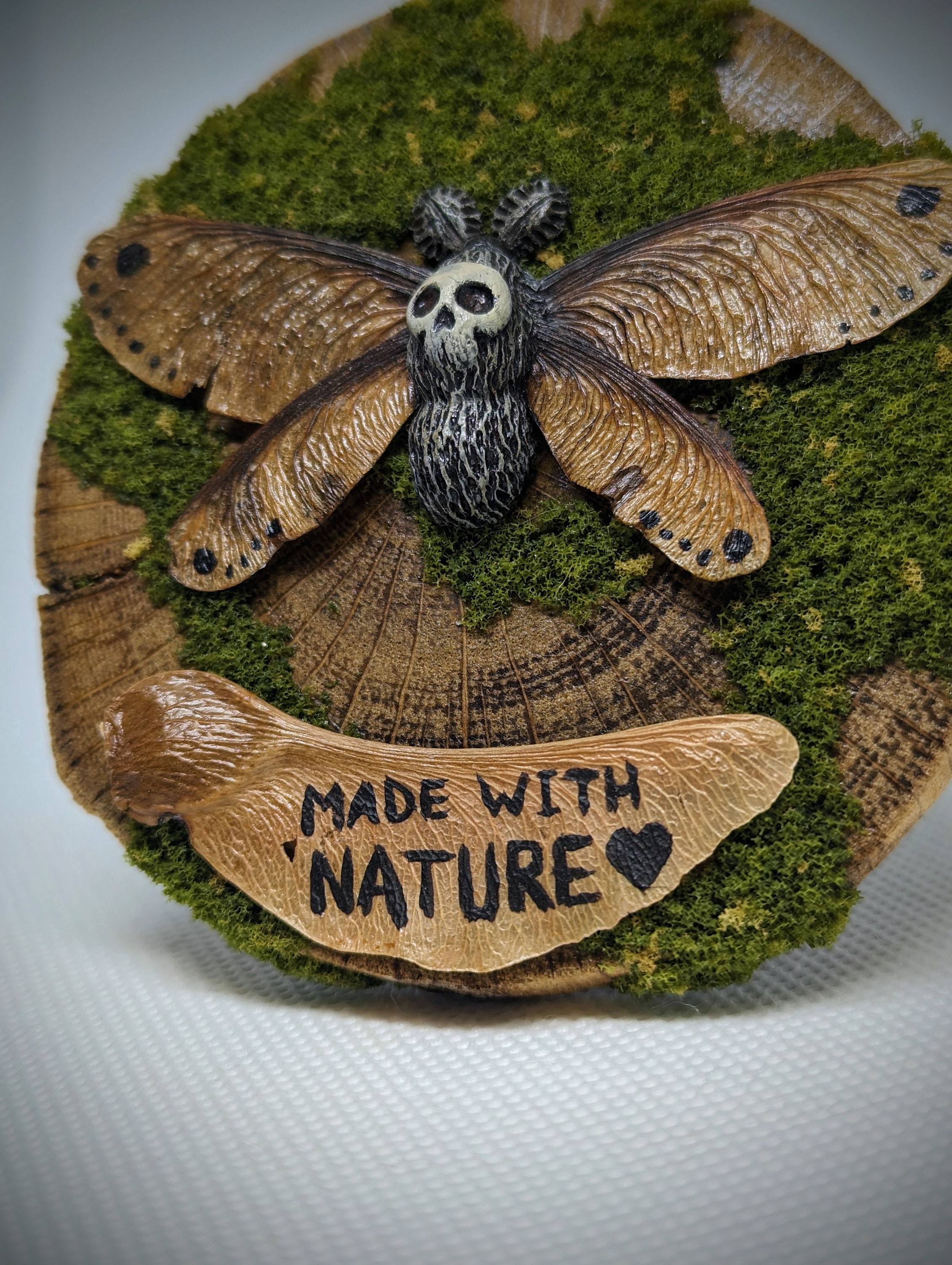 Death Hawk Moth Art Moth Sculpture Dark Art Curiosity Art Handmade Moth ...