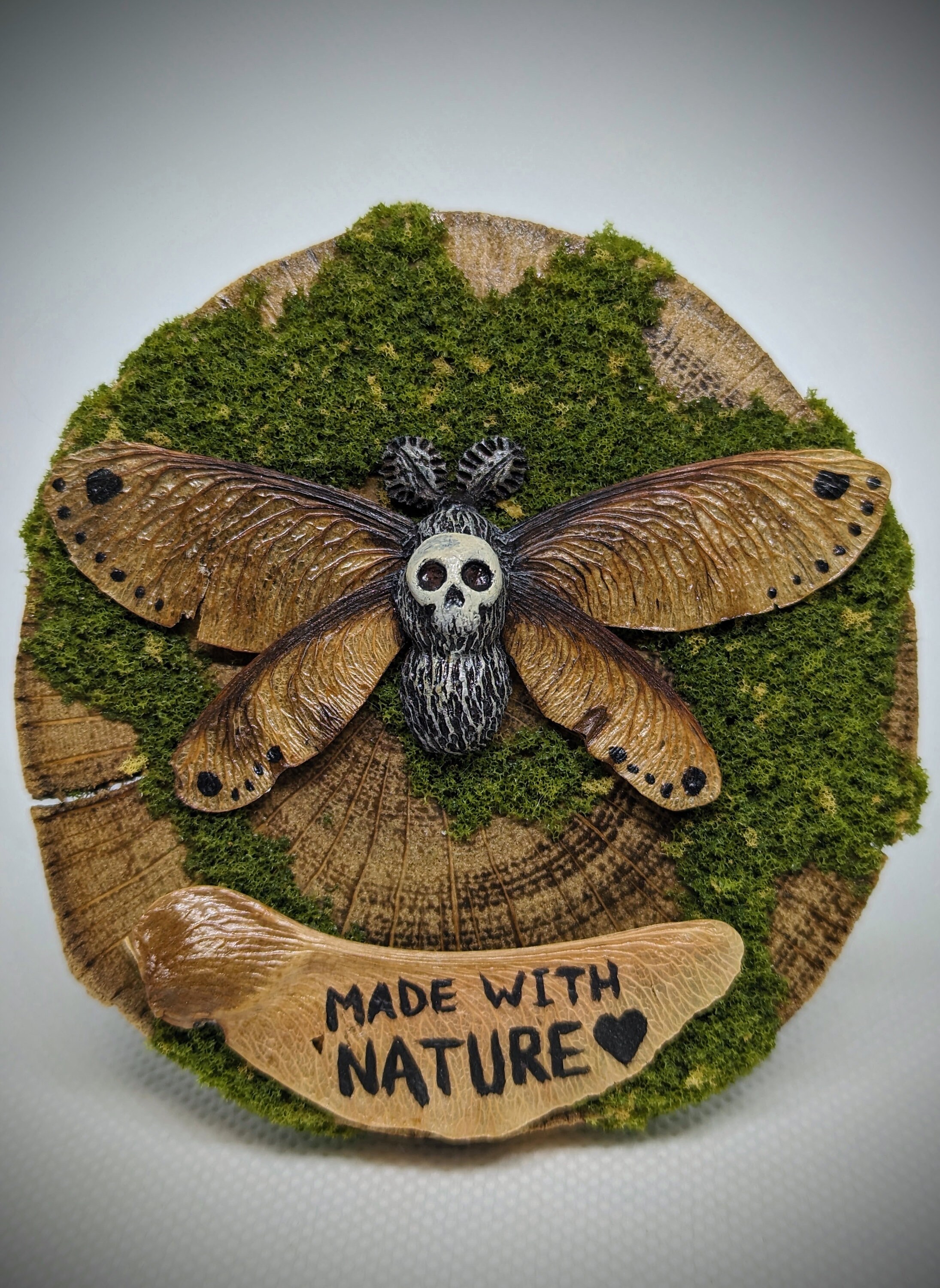 Death Hawk Moth Art Moth Sculpture Dark Art Curiosity Art Handmade Moth ...