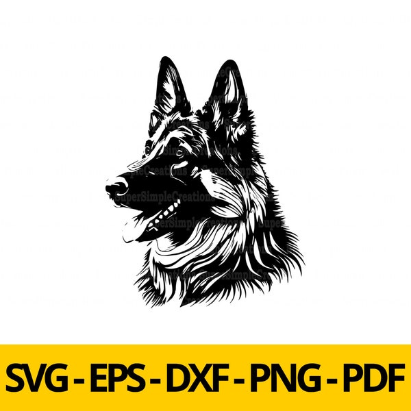 F-22 Raptor Clipart Warbird Svg Fighter Plane Svg Plane Digital ...