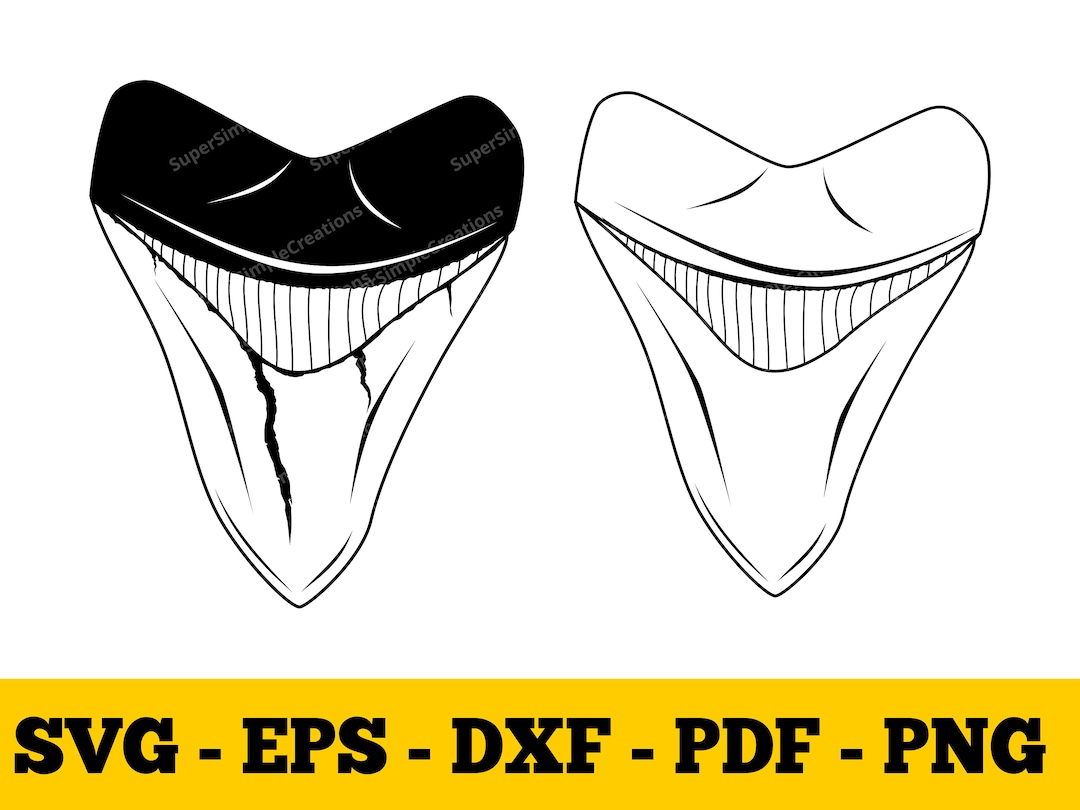 Megalodon Sharks Tooth | Clipart | Animal | White Shark | Digital ...