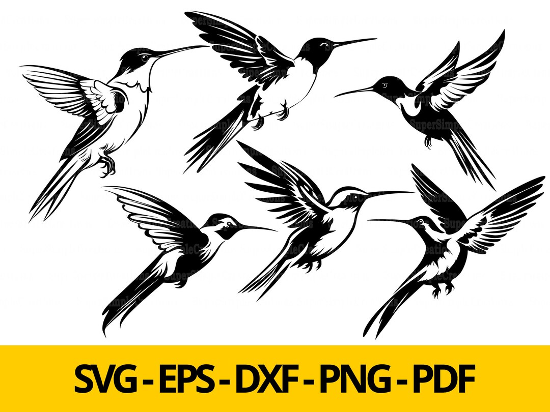 Hummingbirds Svg - Hummer Bird Comercial Use Clipart Animal Art Digital ...