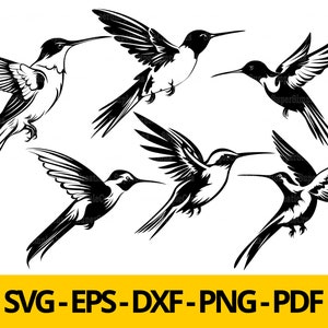 Hummingbirds Svg - Hummer Bird Comercial Use Clipart Animal Art Digital ...