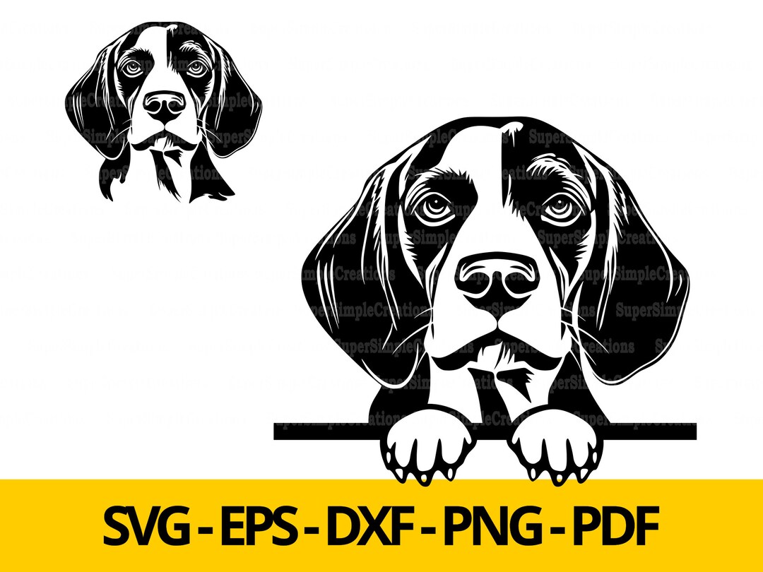 Premium Beagle Puppy Vector Pack - Adorable Dog Illustrations for ...