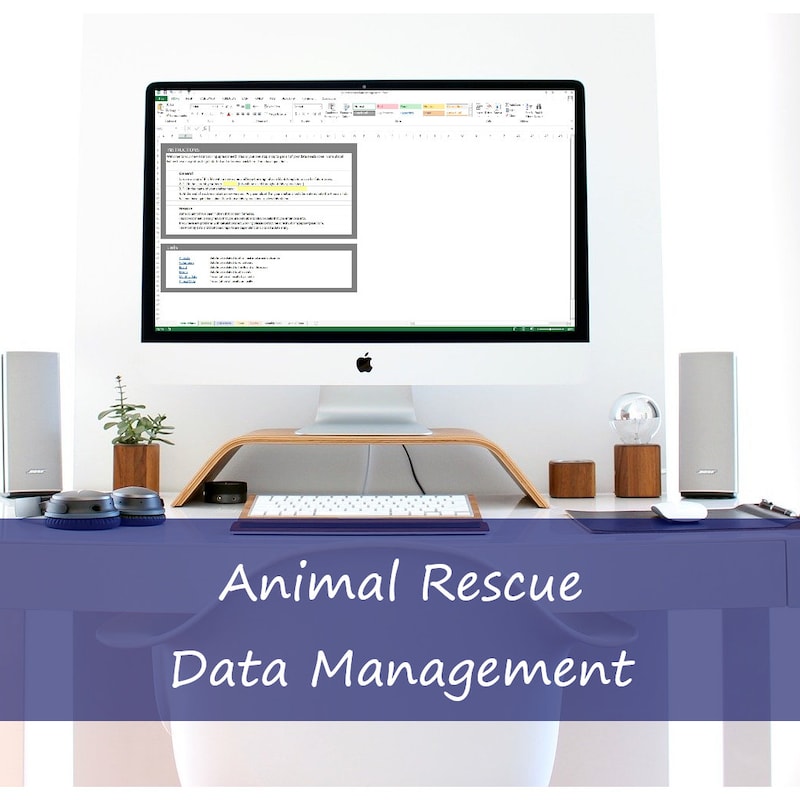 Zumen drawing management system - Etsy.de