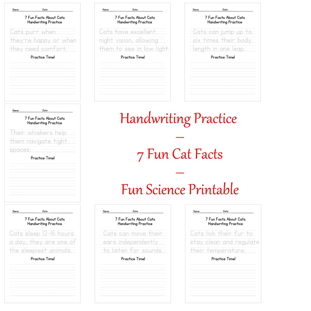 Handwriting Practice for Kids: 14 Fun Cat and Dog Themed Worksheets ...
