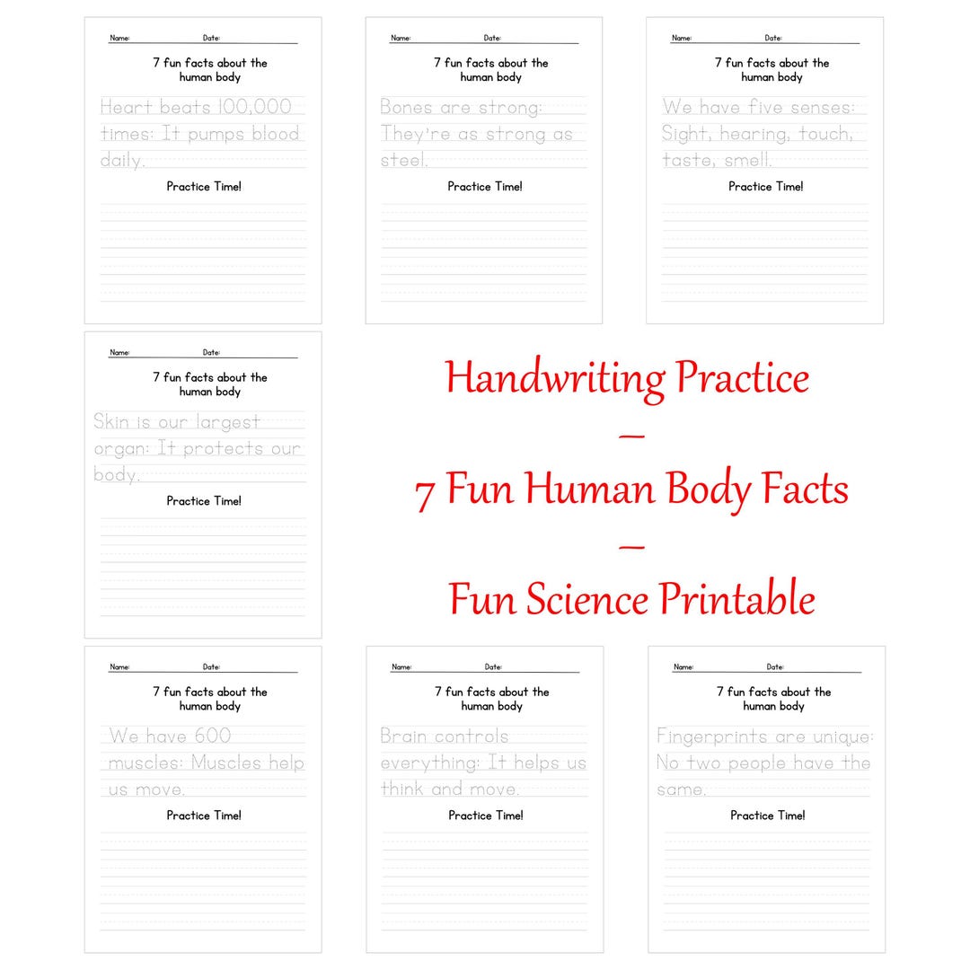 Human Body Writing Practice – 7 Fun Facts for Kids – Science Worksheet ...