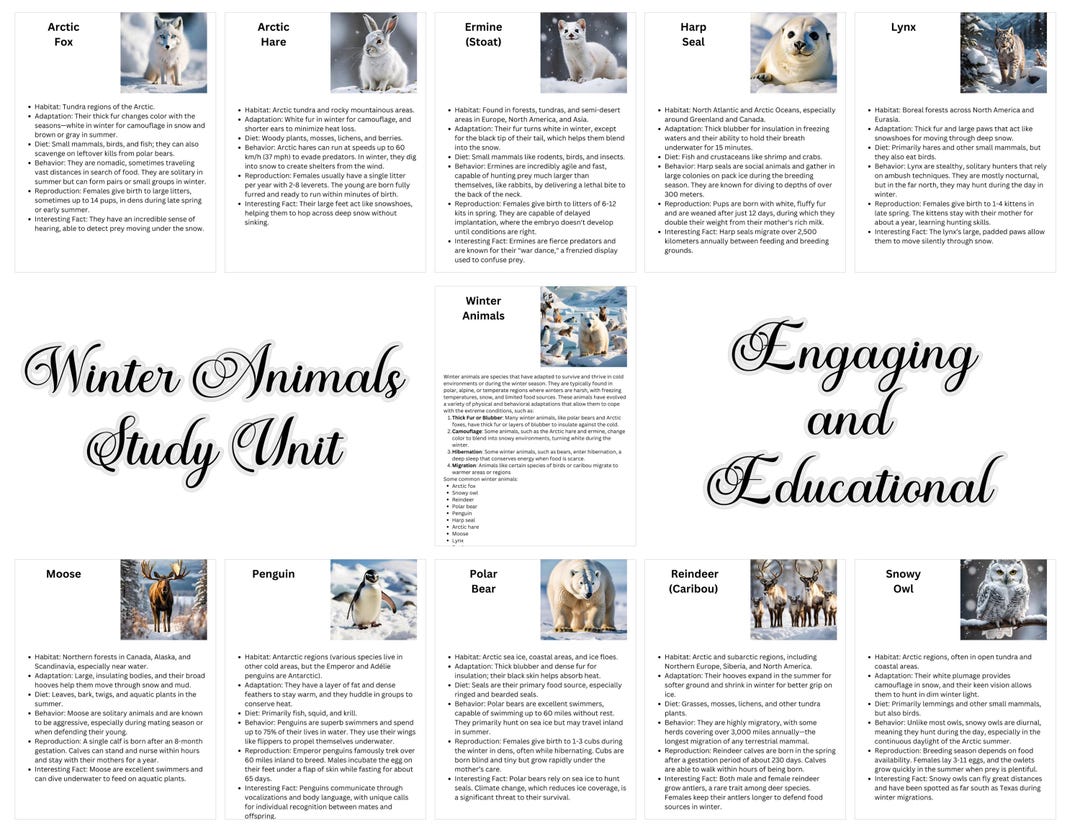 Winter Animals Study Unit for Kids, Teacher Resources, Homeschool ...