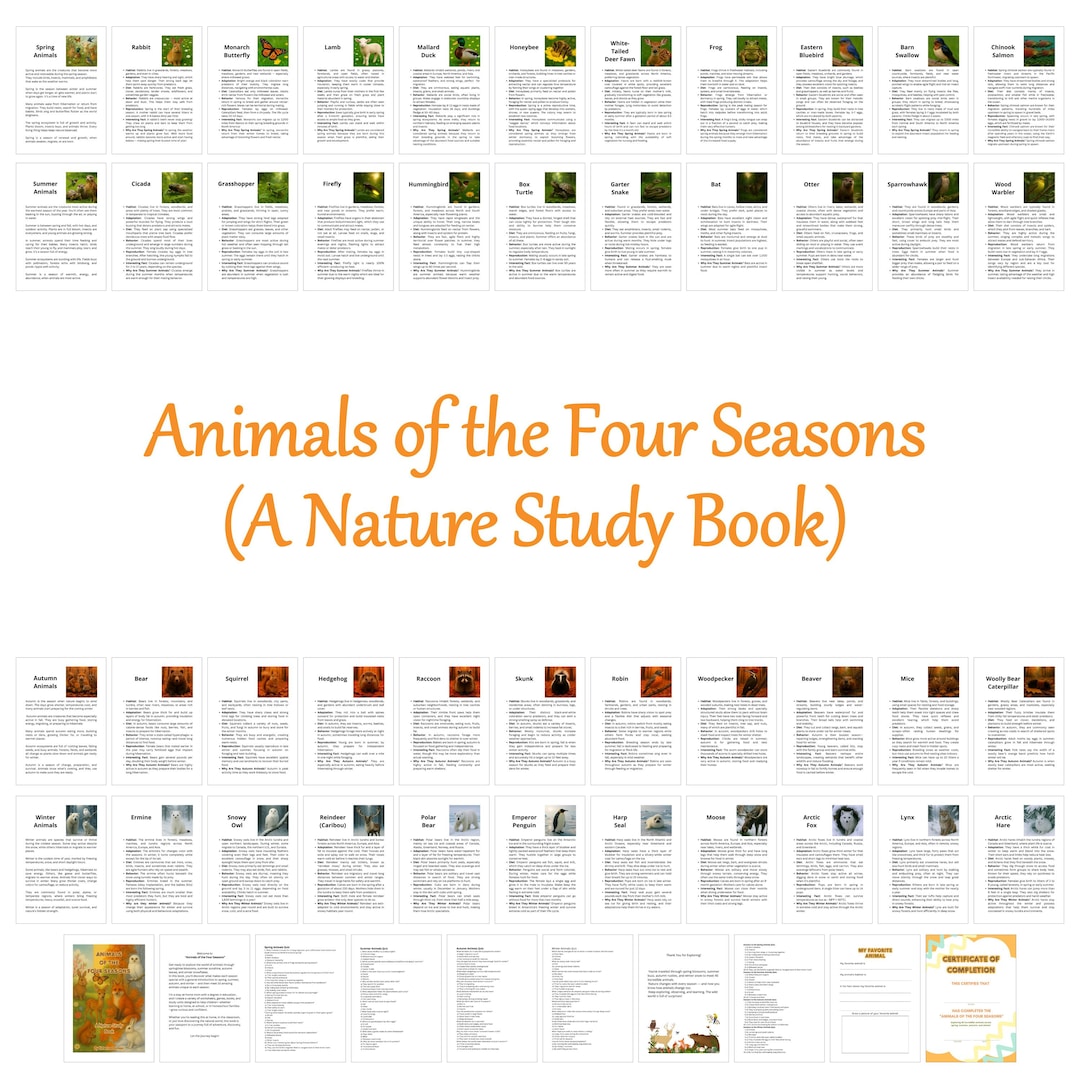 Four Seasons Animals Nature Study: Kids' Printable Learning Worksheets ...