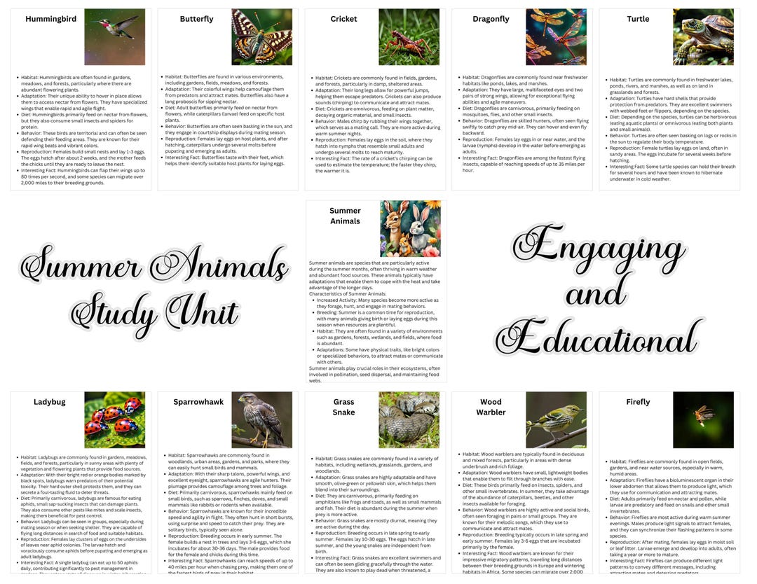 Summer Animals Study Unit, Printable Seasonal Animals for Teachers and ...