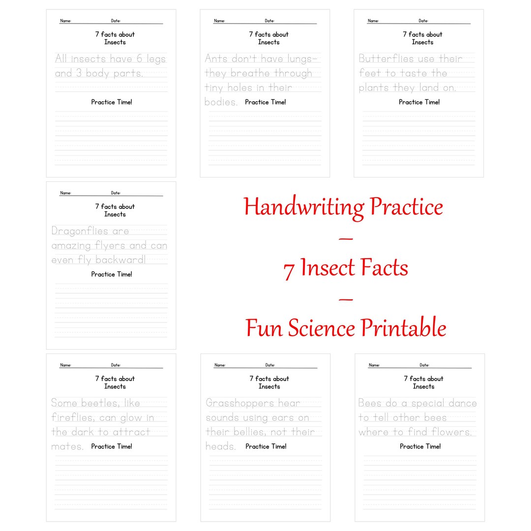 Insect Facts Handwriting Practice for Kids, Educational Printable Pages ...