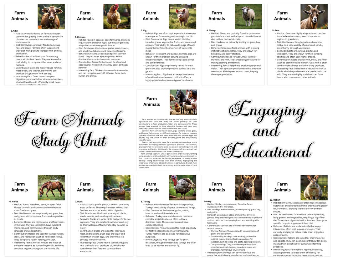 Farm Animals Study Unit - Etsy