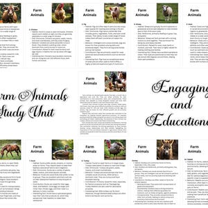 Farm Animals Study Unit - Etsy