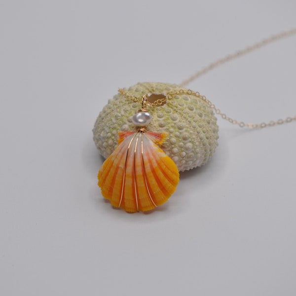 Sunrise Shell Necklace - Etsy