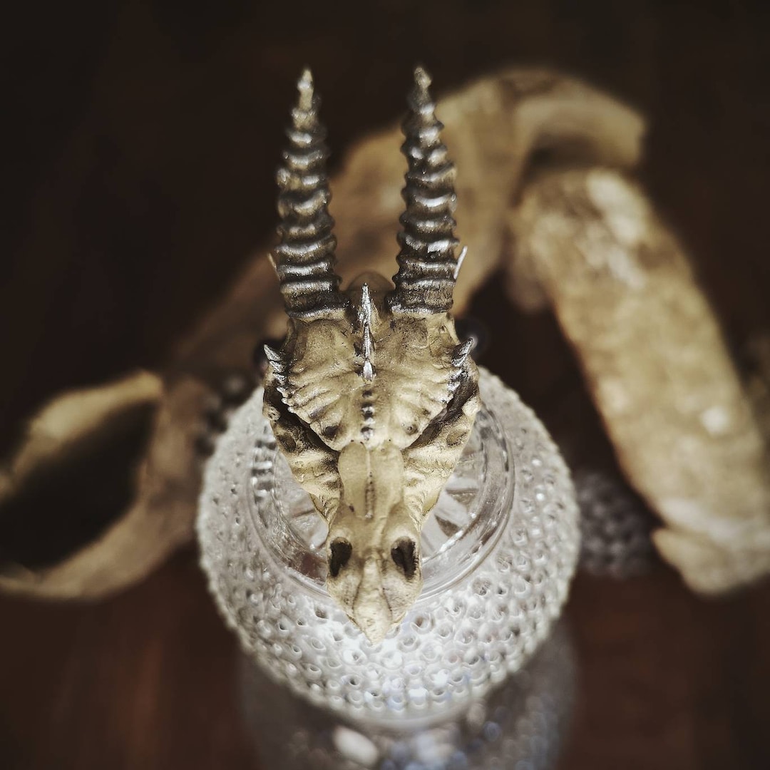Dragon Skull Made of Resin for Use as a Pendant or Amulet - Etsy