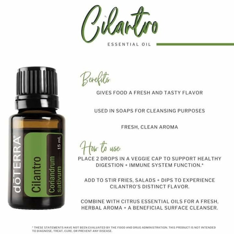 Doterra Essential Cilantro Oil - Etsy