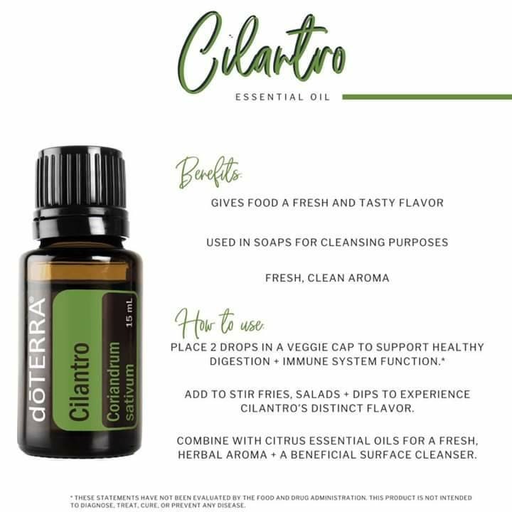 Doterra Essential Cilantro Oil - Etsy