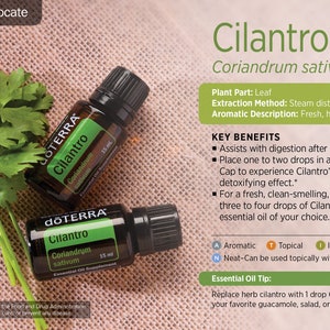 Doterra Essential Cilantro Oil - Etsy