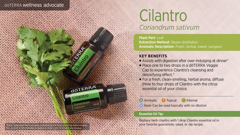 Doterra Essential Cilantro Oil - Etsy