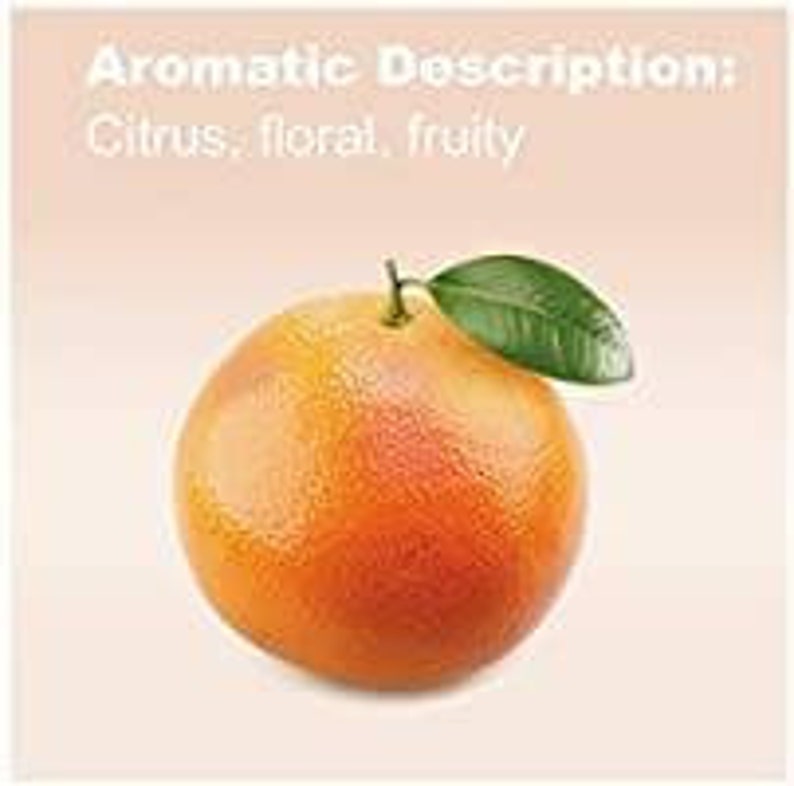 Doterra Essential Grapefruit Oil. 15 Ml - Etsy