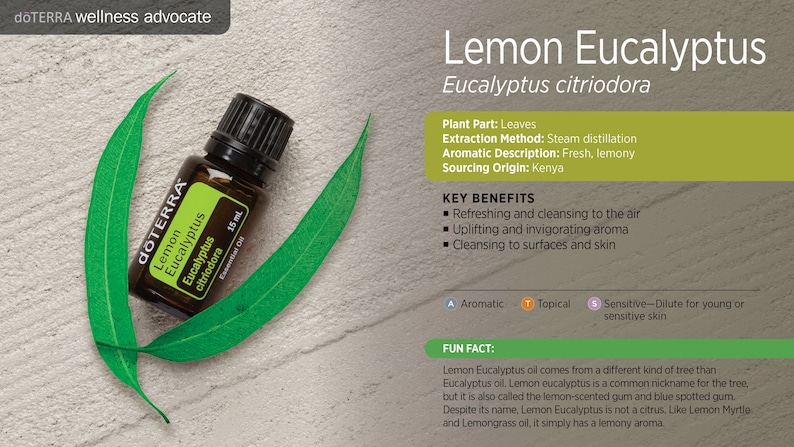 Doterra Essential Lemon Eucalyptus Oil - Etsy UK