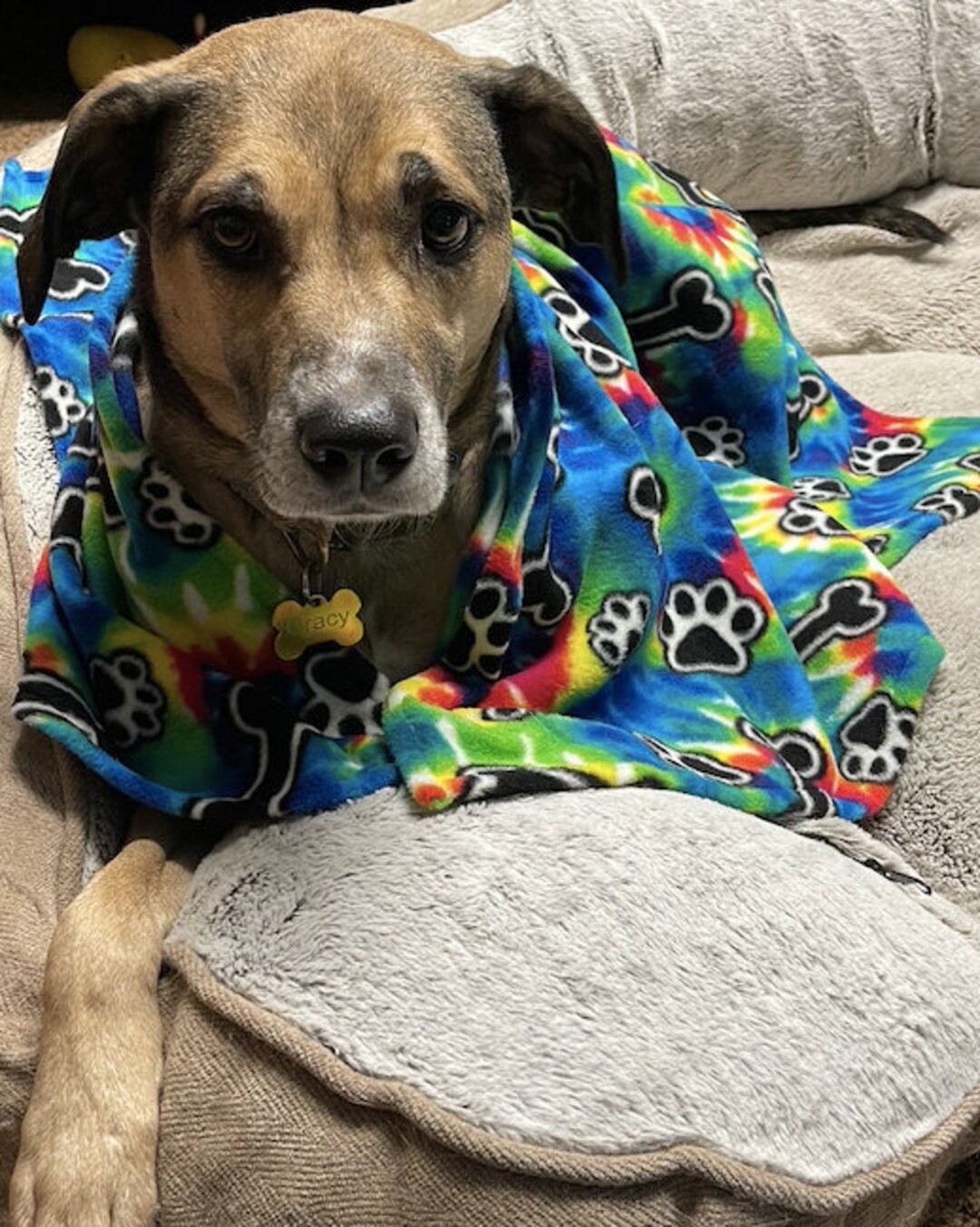 Handmade Pet Blanket - Etsy