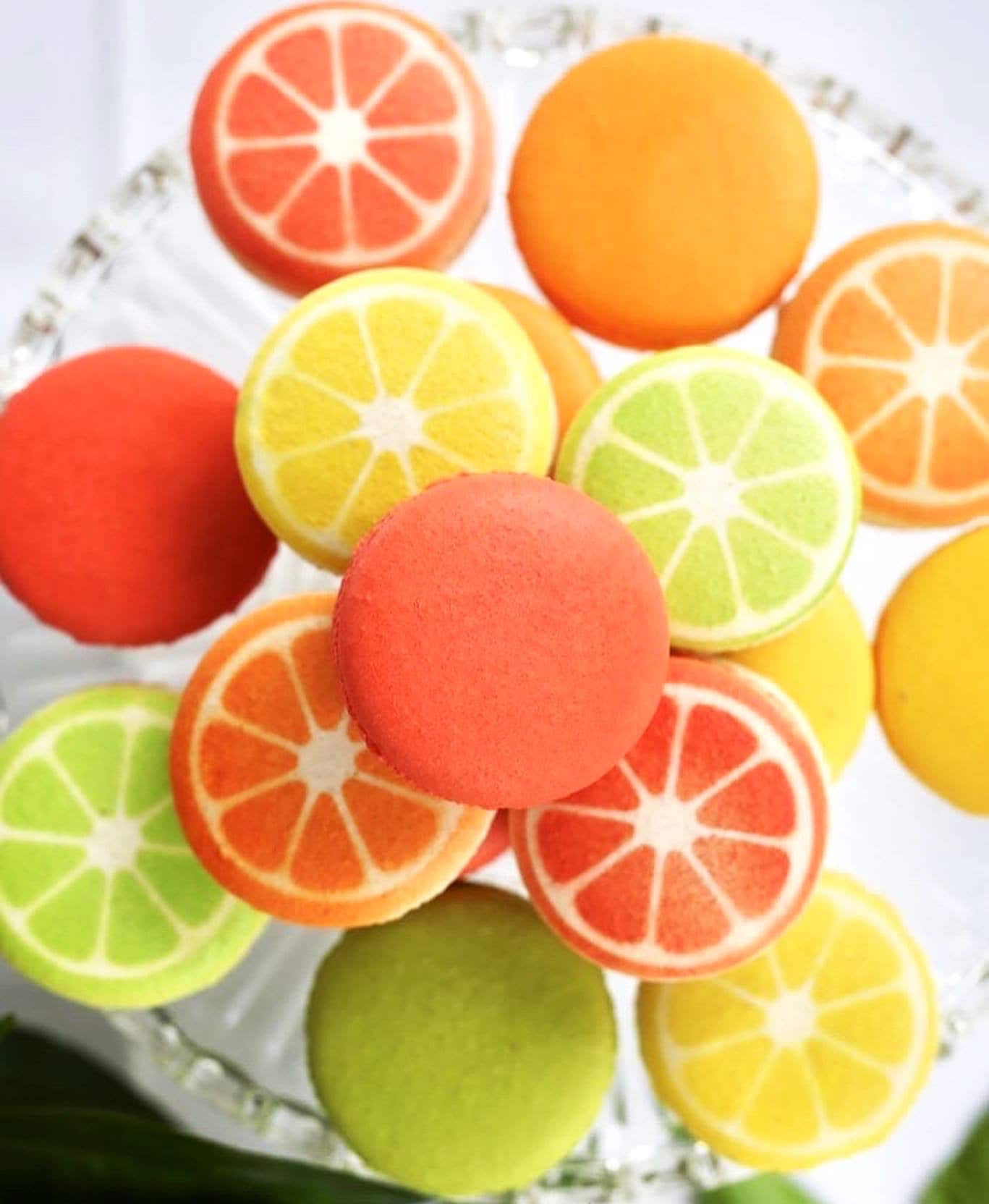 Lemon Citrus Theme Stencil Digital Download - Etsy