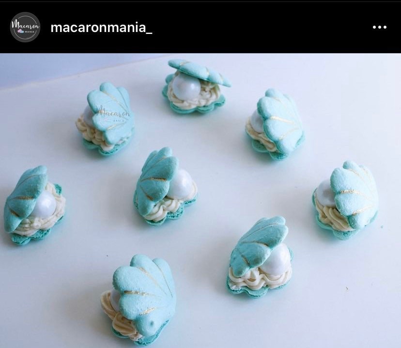 Sea Shell Macaron Template - Digital Download PDF - SVG - Print Your ...