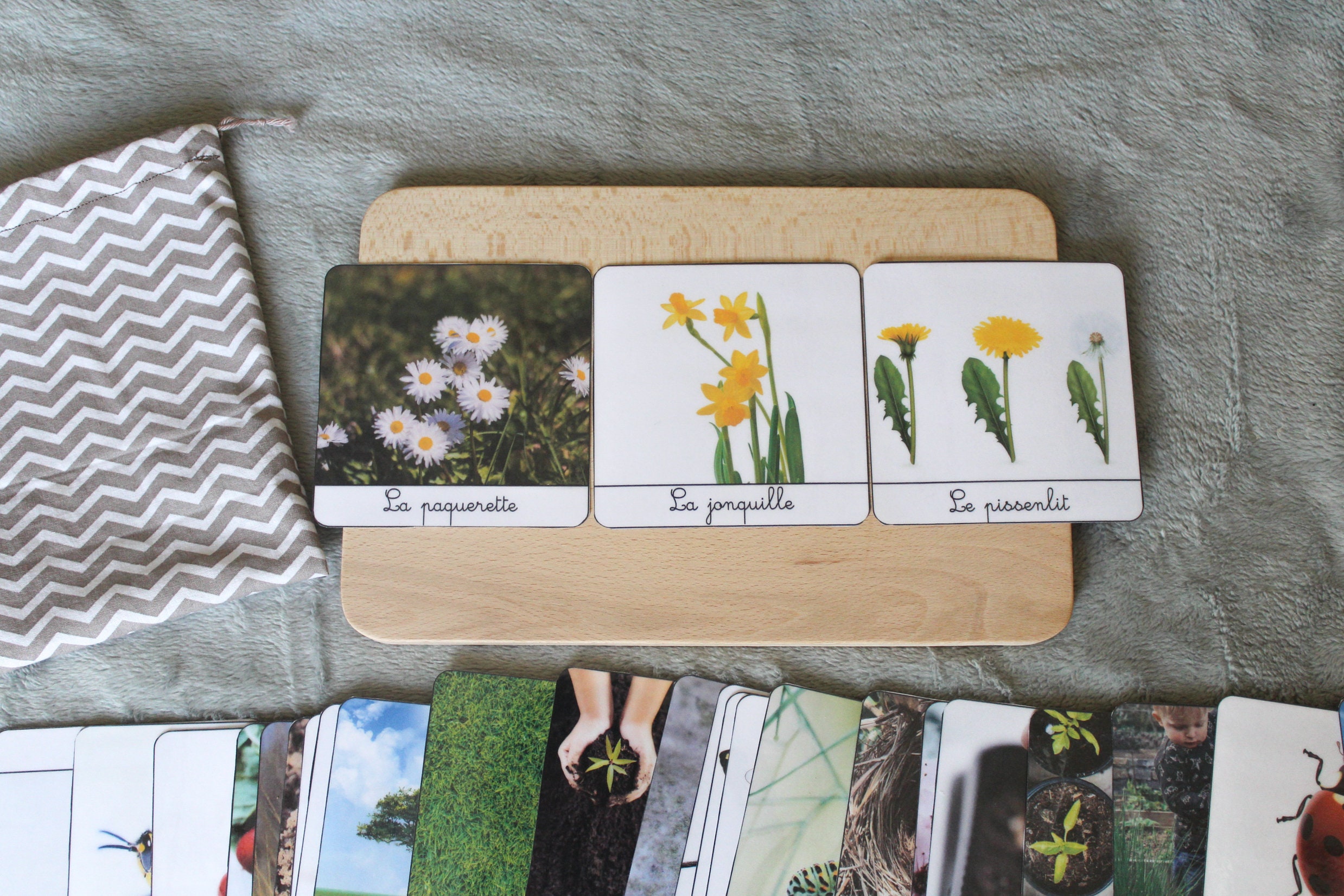 PDF SPRING Montessori Nomenclature Cards to Print / Classified Images ...