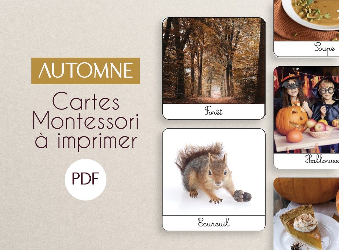 AUTUMN Montessori Nomenclature Cards to Print/ Classified Images ...