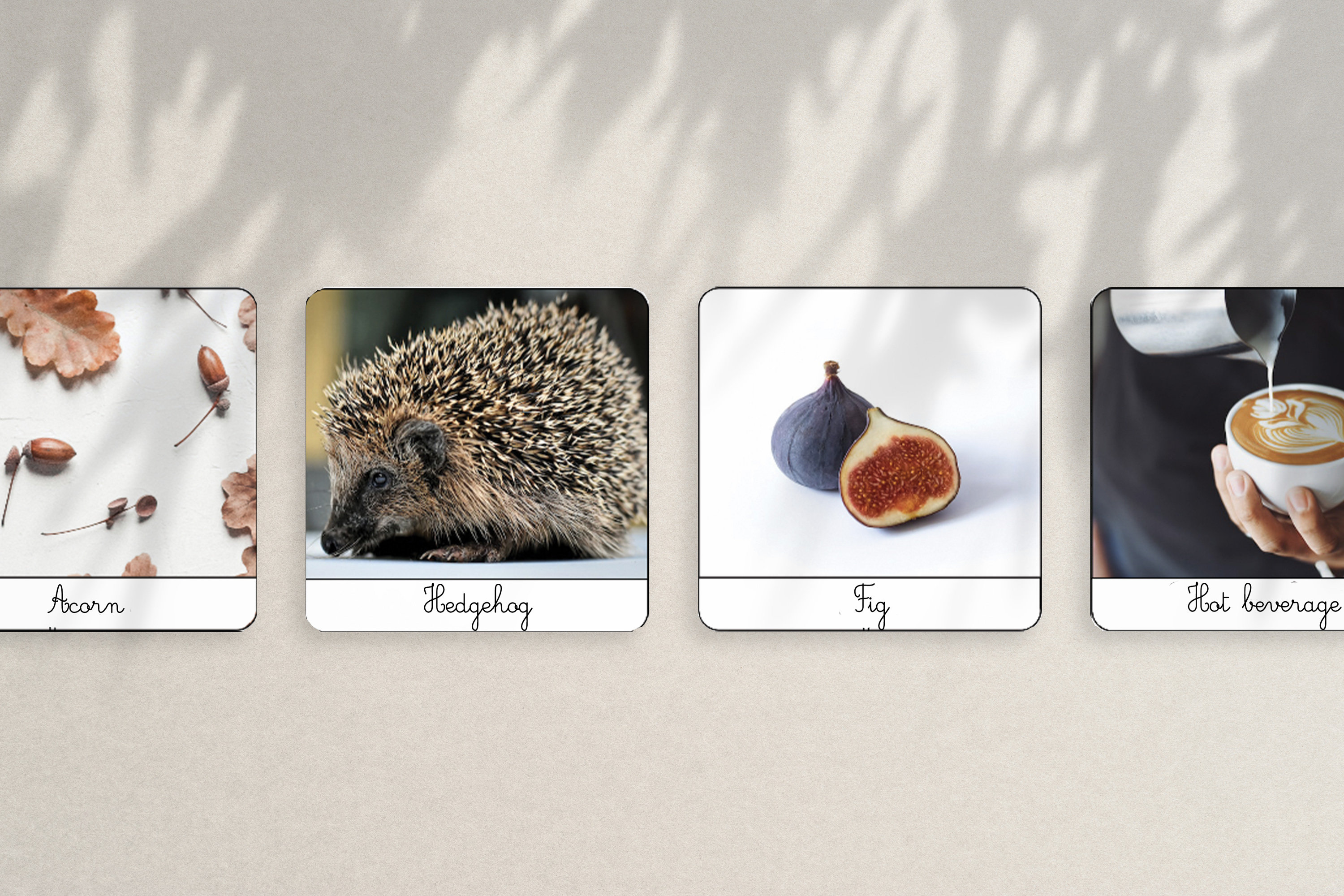 FALL Montessori Flash Cards / Printable / Classified Pictures - Etsy