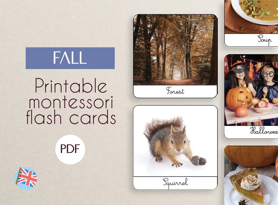 FALL Montessori Flash Cards / Printable / Classified Pictures ...