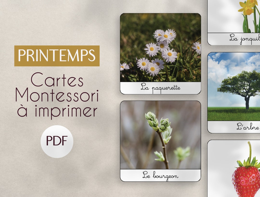 PDF SPRING Montessori Nomenclature Cards to Print / Classified Images ...