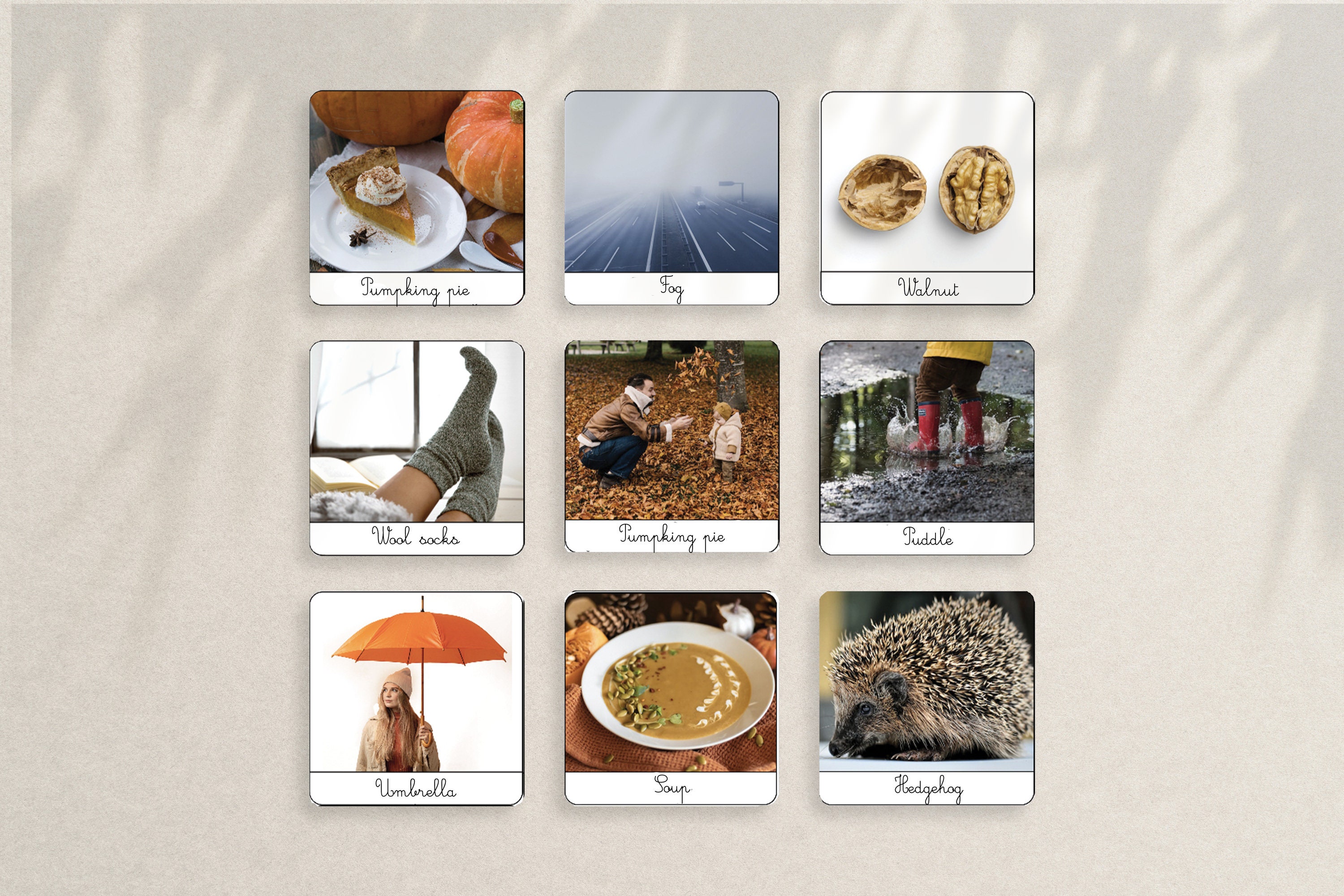 FALL Montessori Flash Cards / Printable / Classified Pictures - Etsy