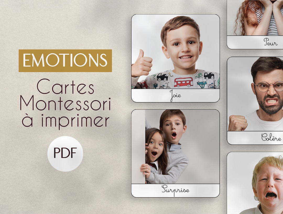 PDF Emotions Montessori Nomenclature Cards to Print / Classified Images ...