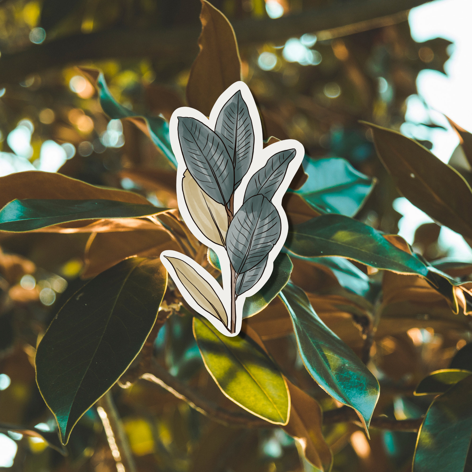 Magnolia Leaves Sticker, Flower Sticker - Etsy