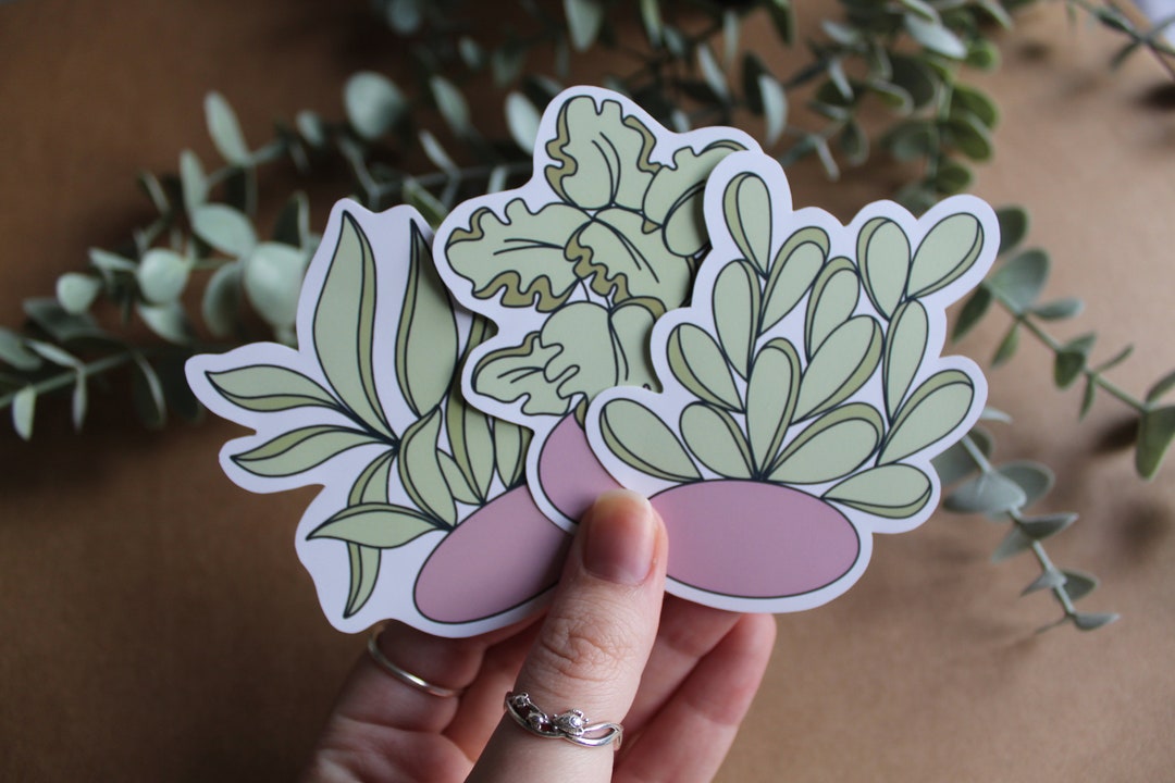 Plant Illustration Sticker Pack Succulent Aesthetic Sticker - Etsy
